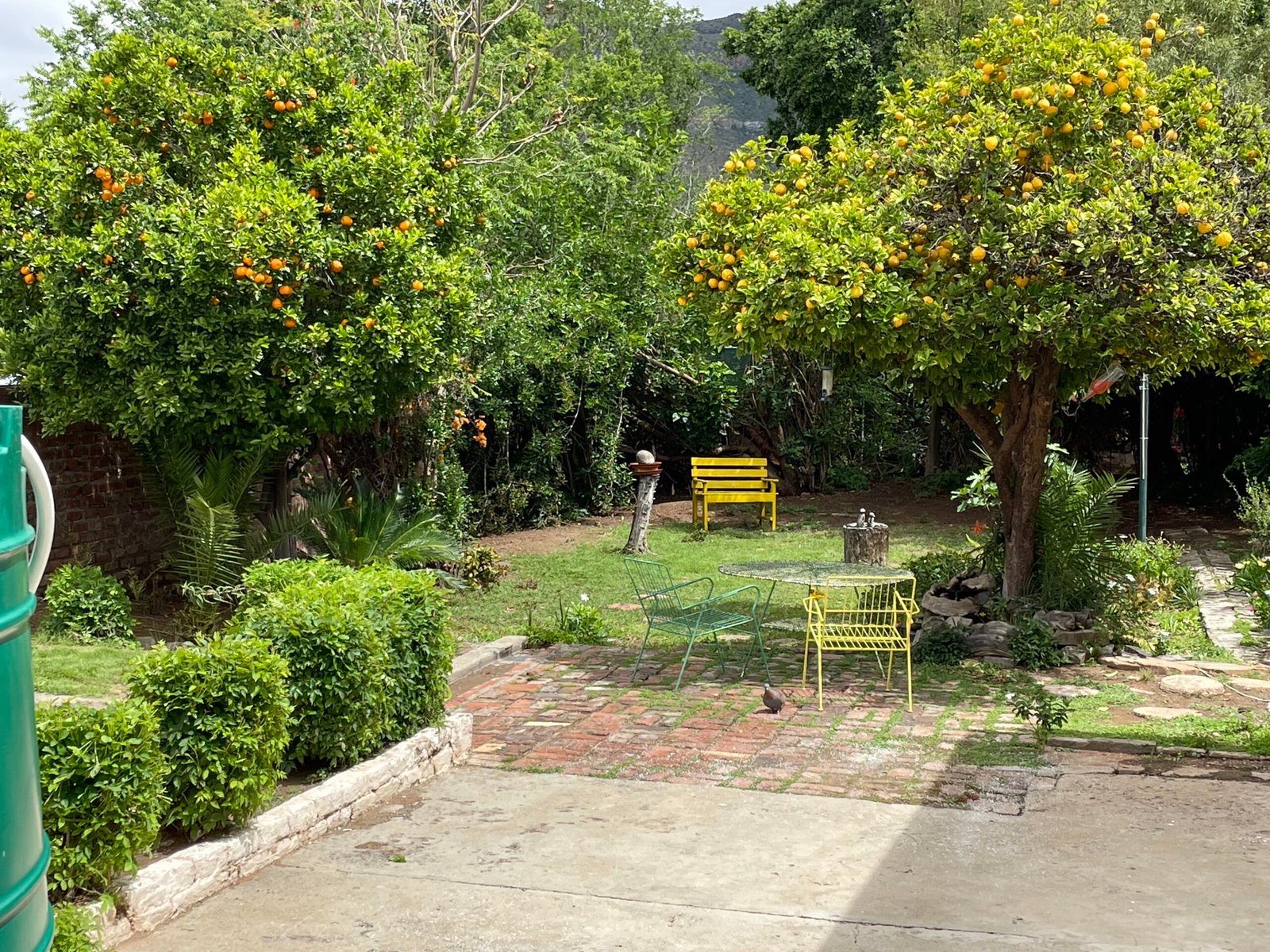 Traditional Karoo home in Graaff-Reinet for sale - Sellandbuy – South ...